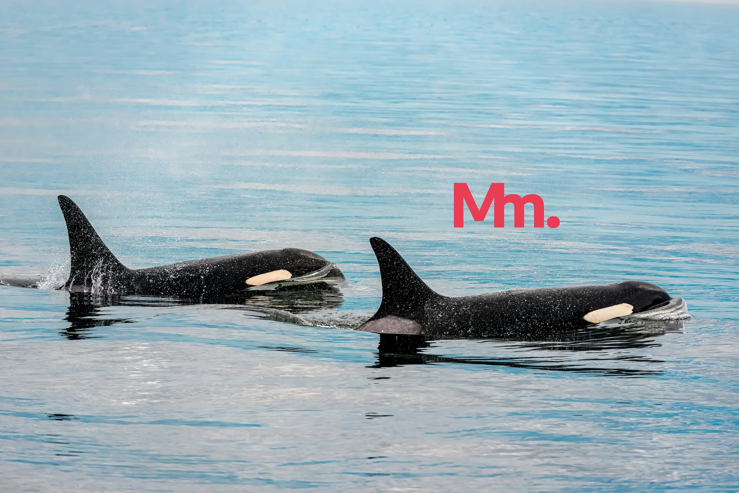 Pair Programming: Tips and Insights through professional experience and theory